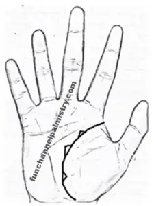 Money Lines/Wealth Lines||Money Line Palm Reading In Palmistry