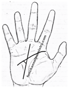 Money Lines/Wealth Lines||Money Line Palm Reading In Palmistry