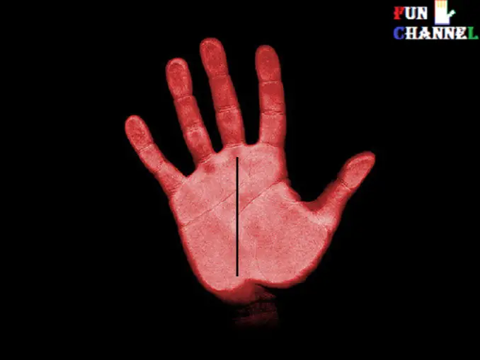 Job Line/Fate Line/Destiny Line/Saturn Line In Palmistry