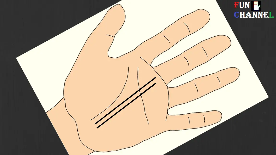 Do You Have These Extremely Lucky Lines On Your Palm?-Palmistry