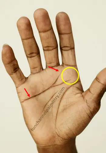Do You Have A Half Moon On Your Palms? Is It A Myth?