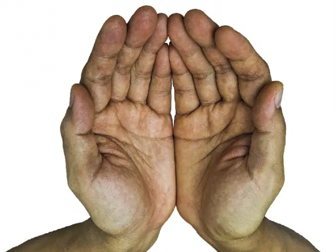 Do You Have a Half Moon On Your Palms? Is It A Myth?