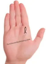 Fish Sign In Palmistry And Its Correct Meaning On Various Location
