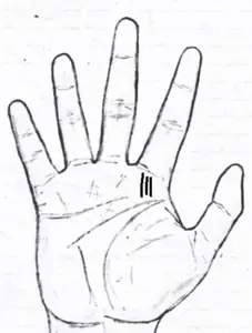 Cross On Jupiter Mount And Special Signs Found On It-Palmistry