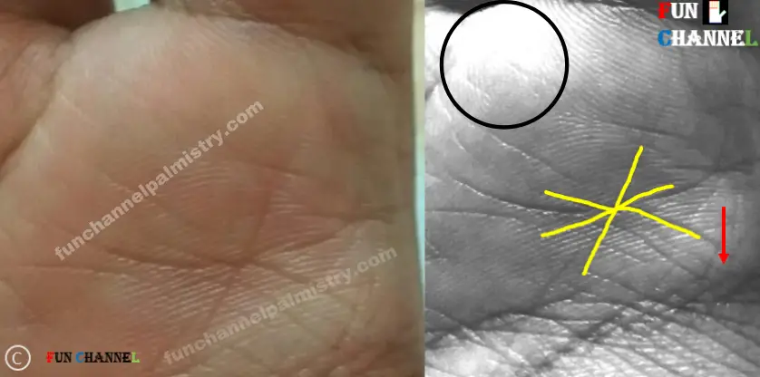 Extremely Lucky And Powerful Star Sign In Your Hands?-Palmistry