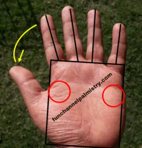 Many Lines On Hand And Unsuccessful Signs In Palmistry