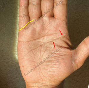 Good Luck Signs In Palmistry On Your Hands?